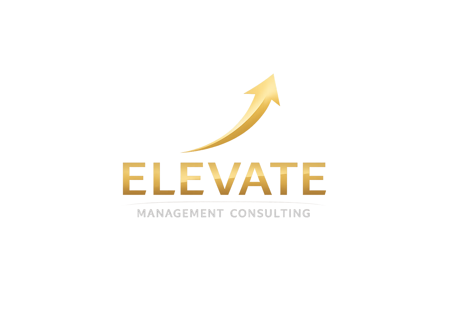 Elevate Management Consulting | Business Coaching for New Ventures